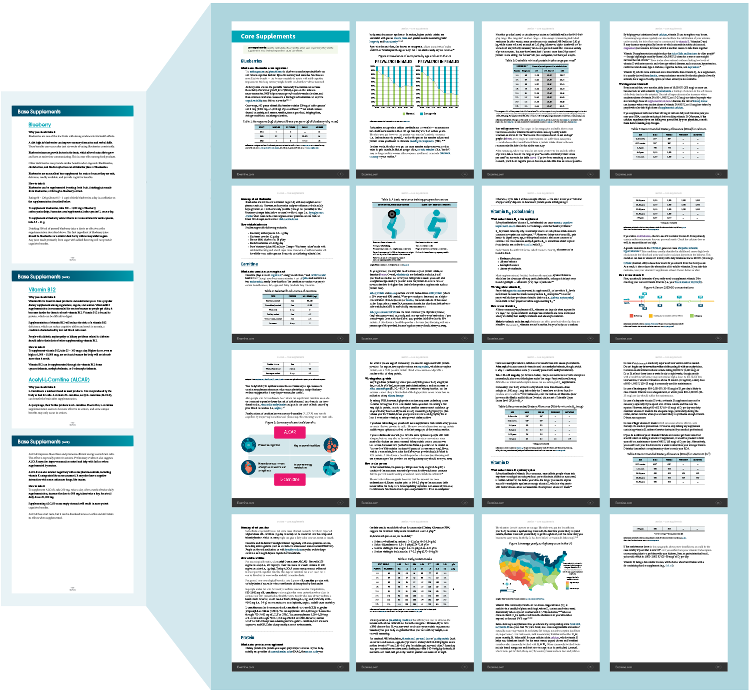 Supplement Guides Sales Page GoodUI - Examine