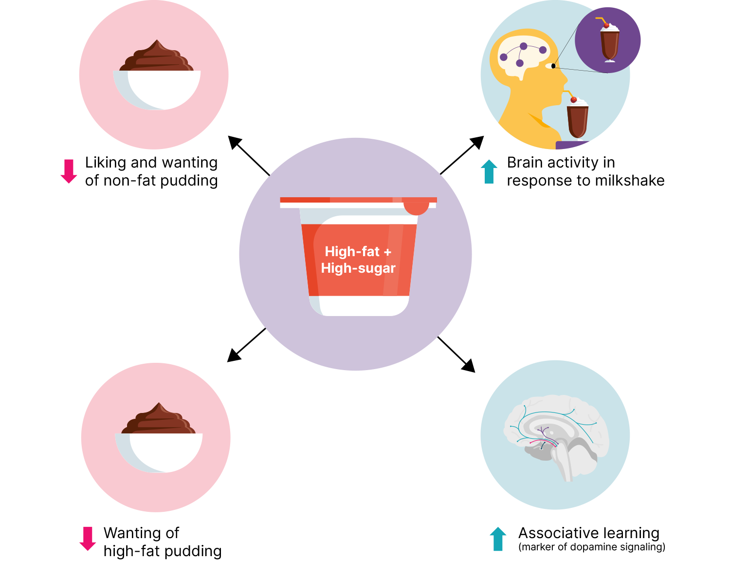 Regularly eating a sweet and fatty snack changes food preferences and ...