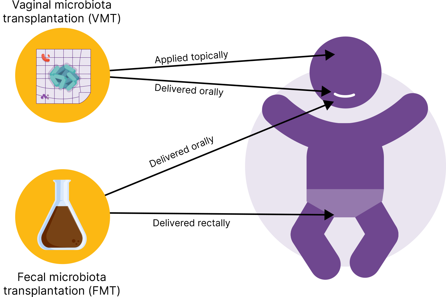 Vaginal microbiota transfer may improve neurodevelopment of babies born ...