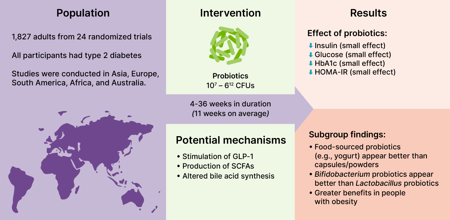 Supplemental probiotics may improve glycemic control - Study Summary ...