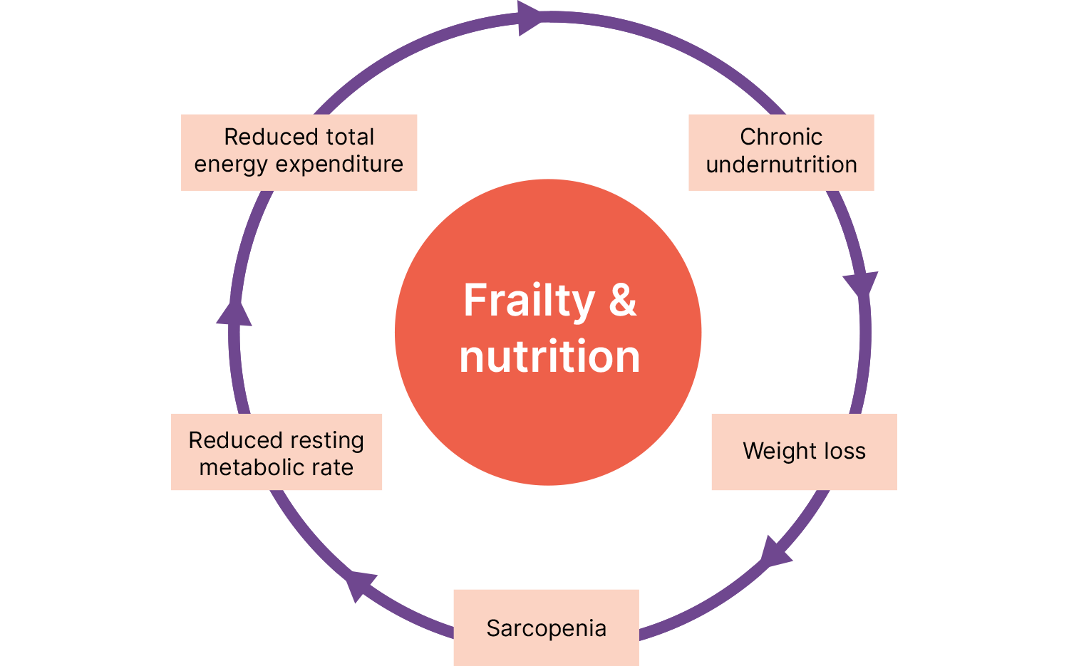 Can a Mediterranean diet delay the onset of frailty? - Study Summary ...