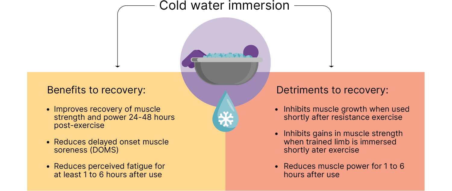 Cold water immersion reduces muscle growth during resistance training ...